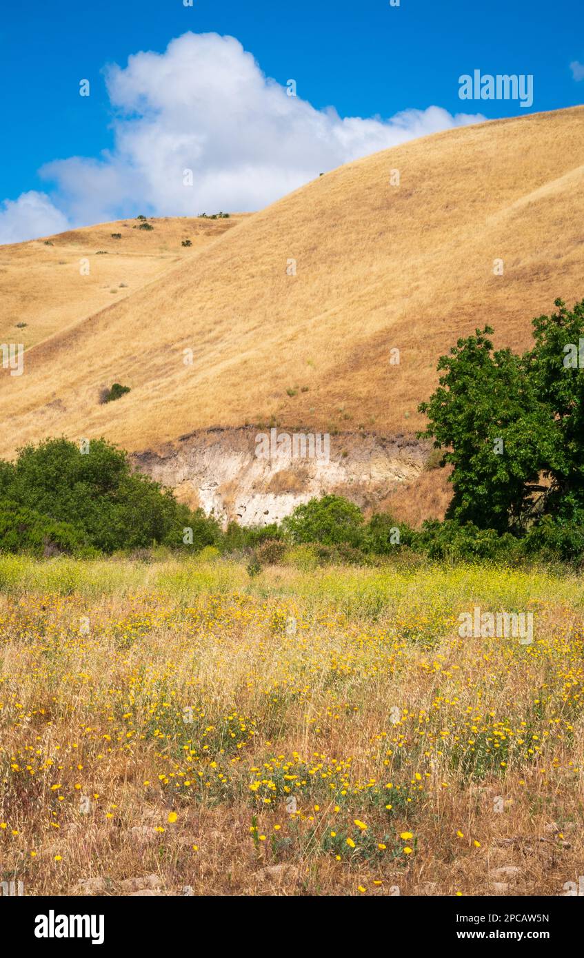 Fort Ord National Monument, California Stock Photo - Alamy