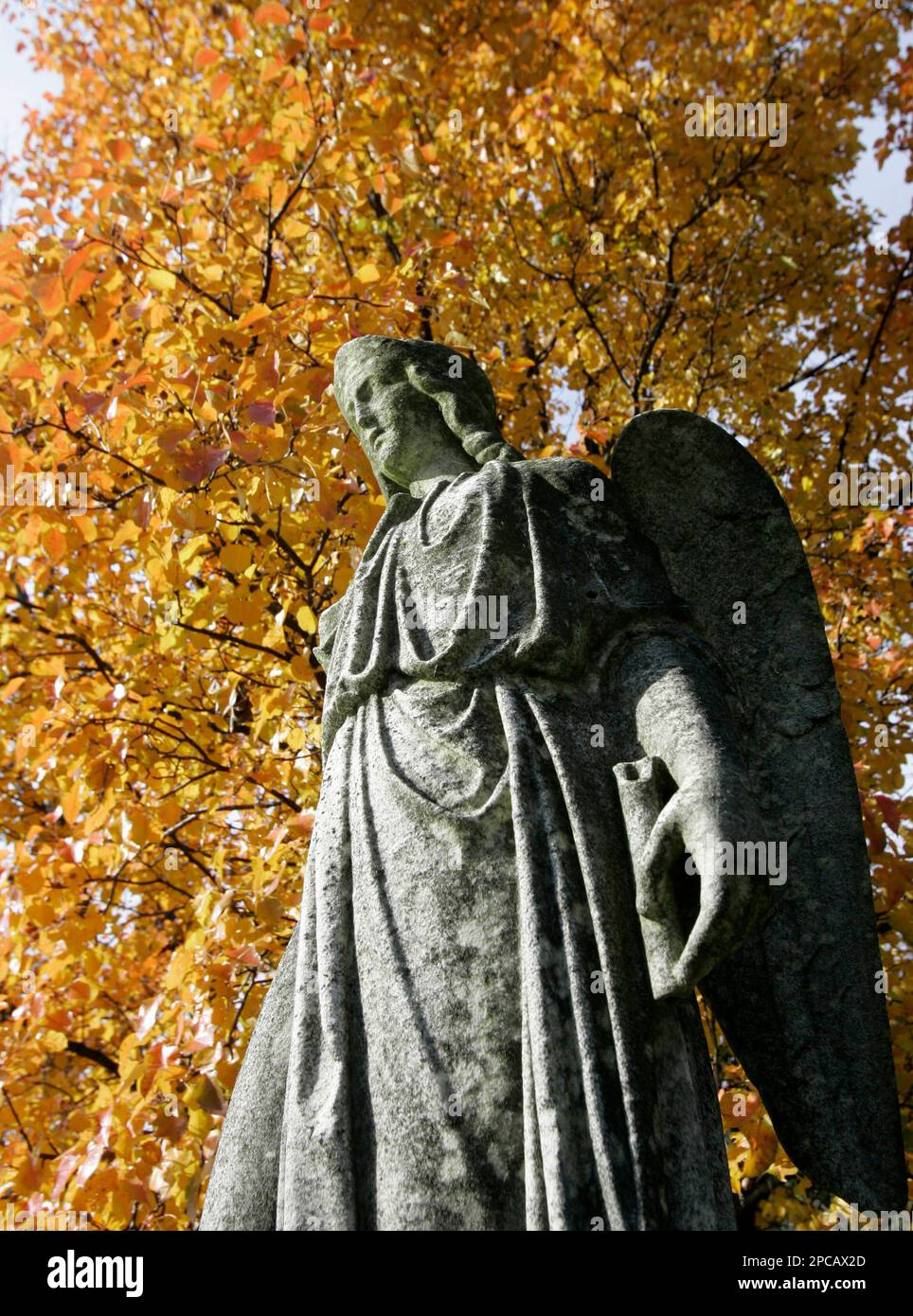 Fall leaves are shown behind an angel statue, Monday, Nov. 13, 2006, at ...