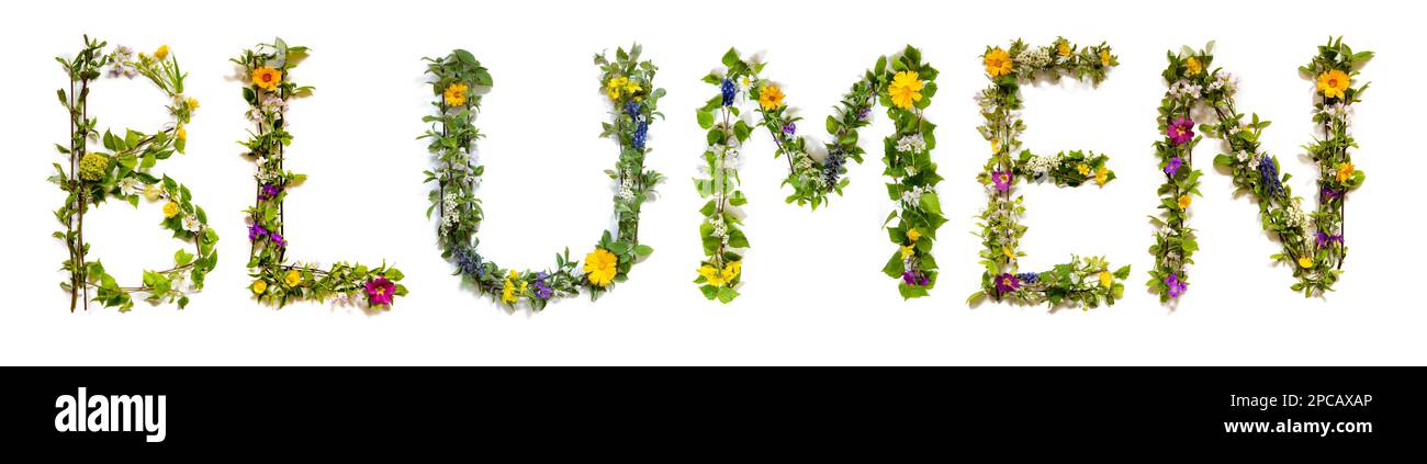 Colorful Blooming Flower Letters Building Word Blumen Means Flower ...