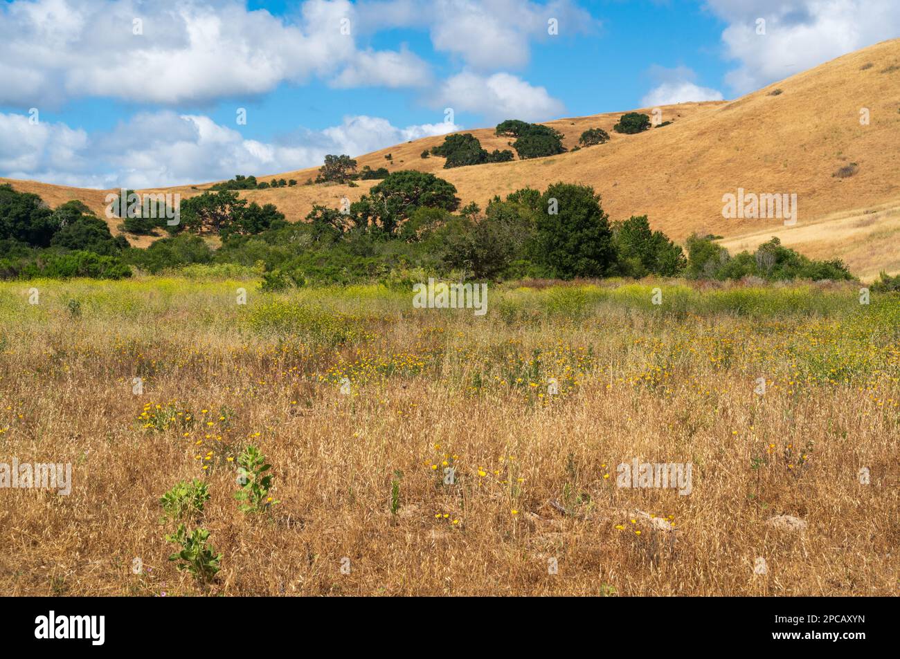 Fort ord monterey county california hi-res stock photography and images ...