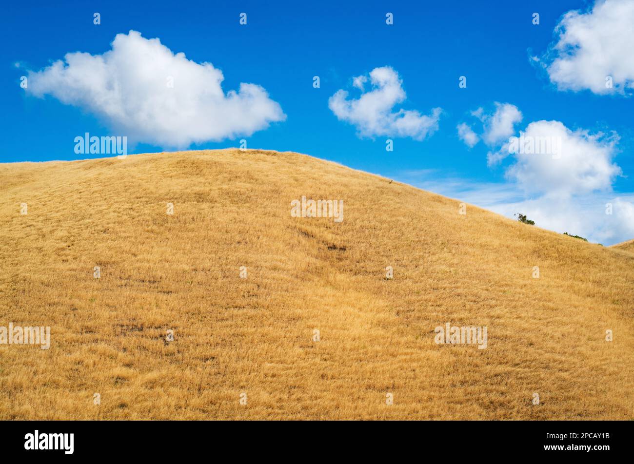 Fort Ord National Monument, California Stock Photo - Alamy