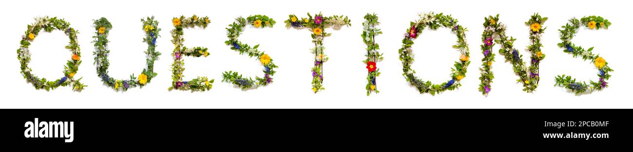 Colorful Blooming Flower Letters Building Word Questions Stock Photo ...