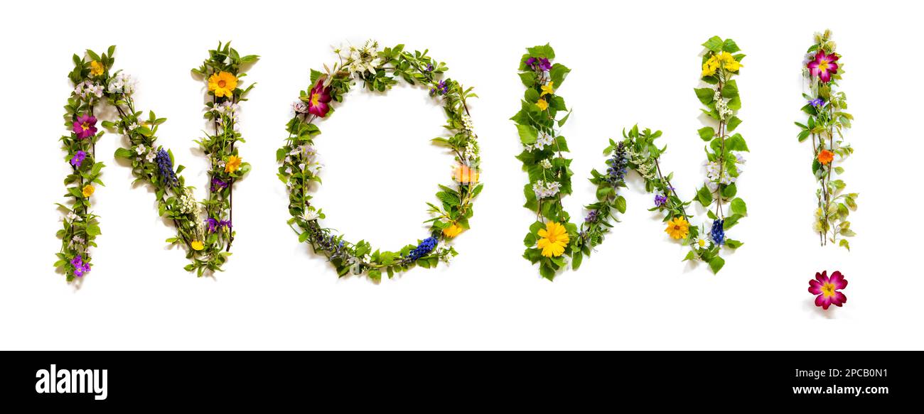 Colorful Blooming Flower Letters Building Word Now Stock Photo - Alamy