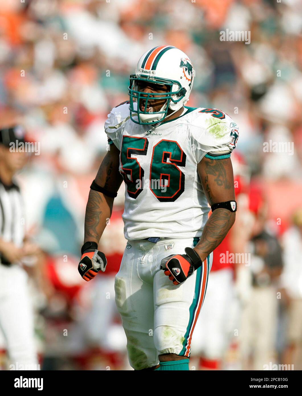 Miami Dolphins player Derick Pope (56) celebrates in the closing ...