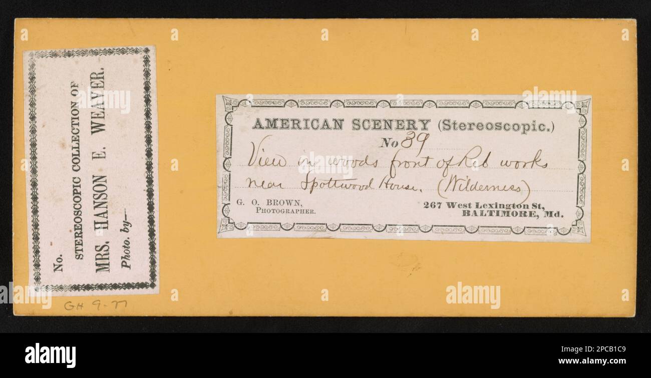 View in woods front of Reb works near Spottwood i.e. Spotswood House ...