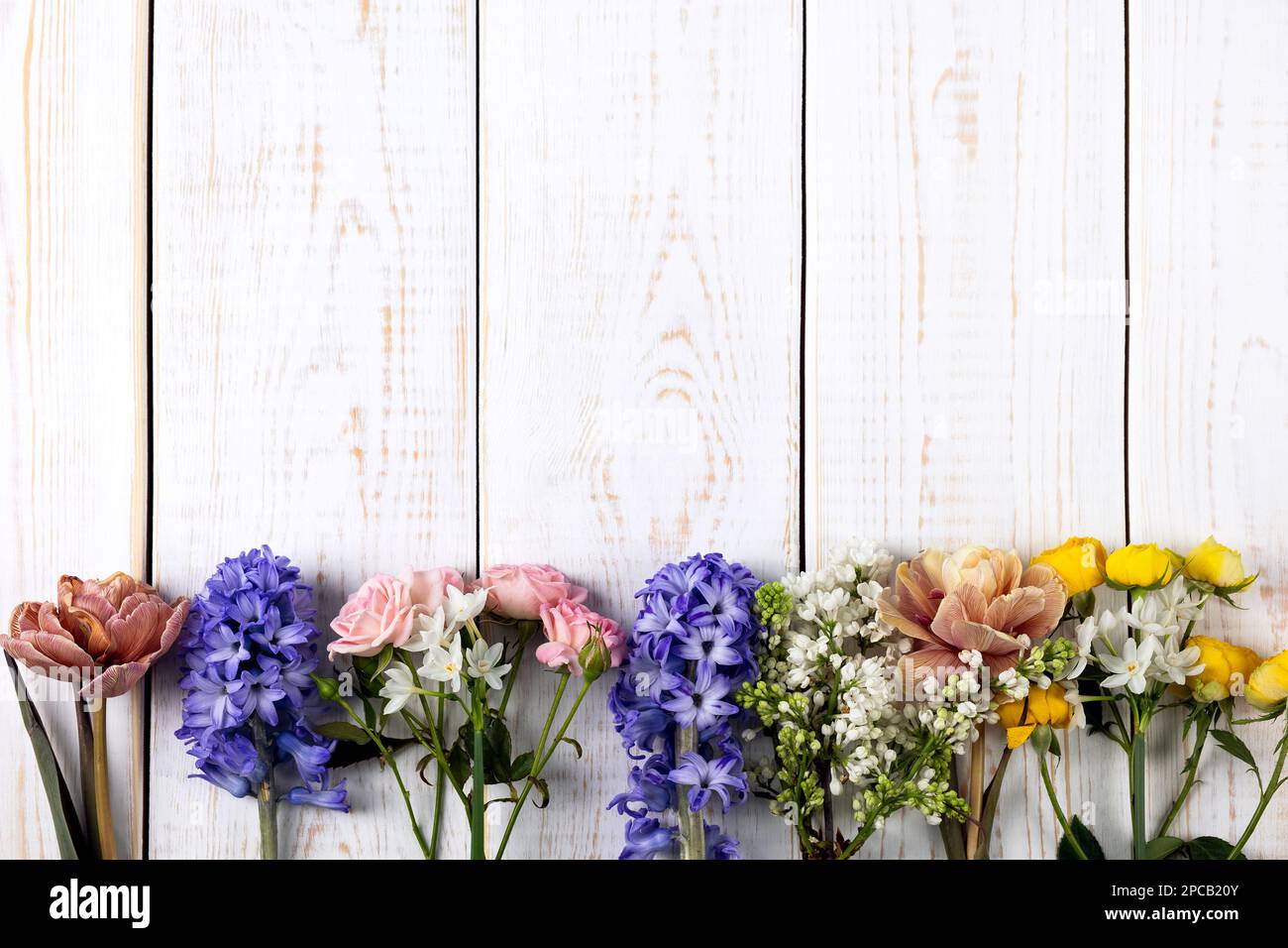 Bright spring composition of daffodils, hyacinths, roses, tulips, lilac ...