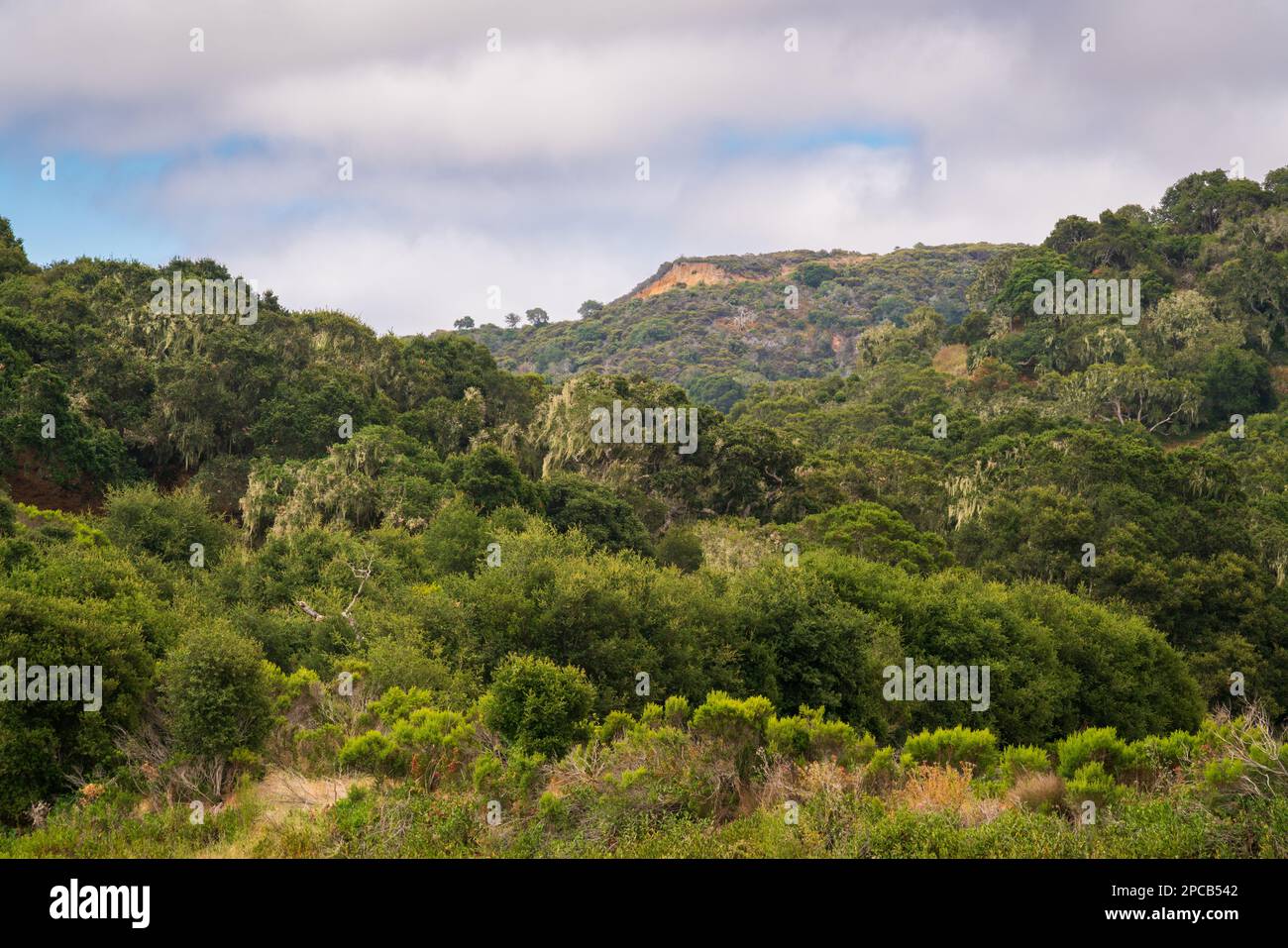 Fort Ord National Monument, California Stock Photo - Alamy