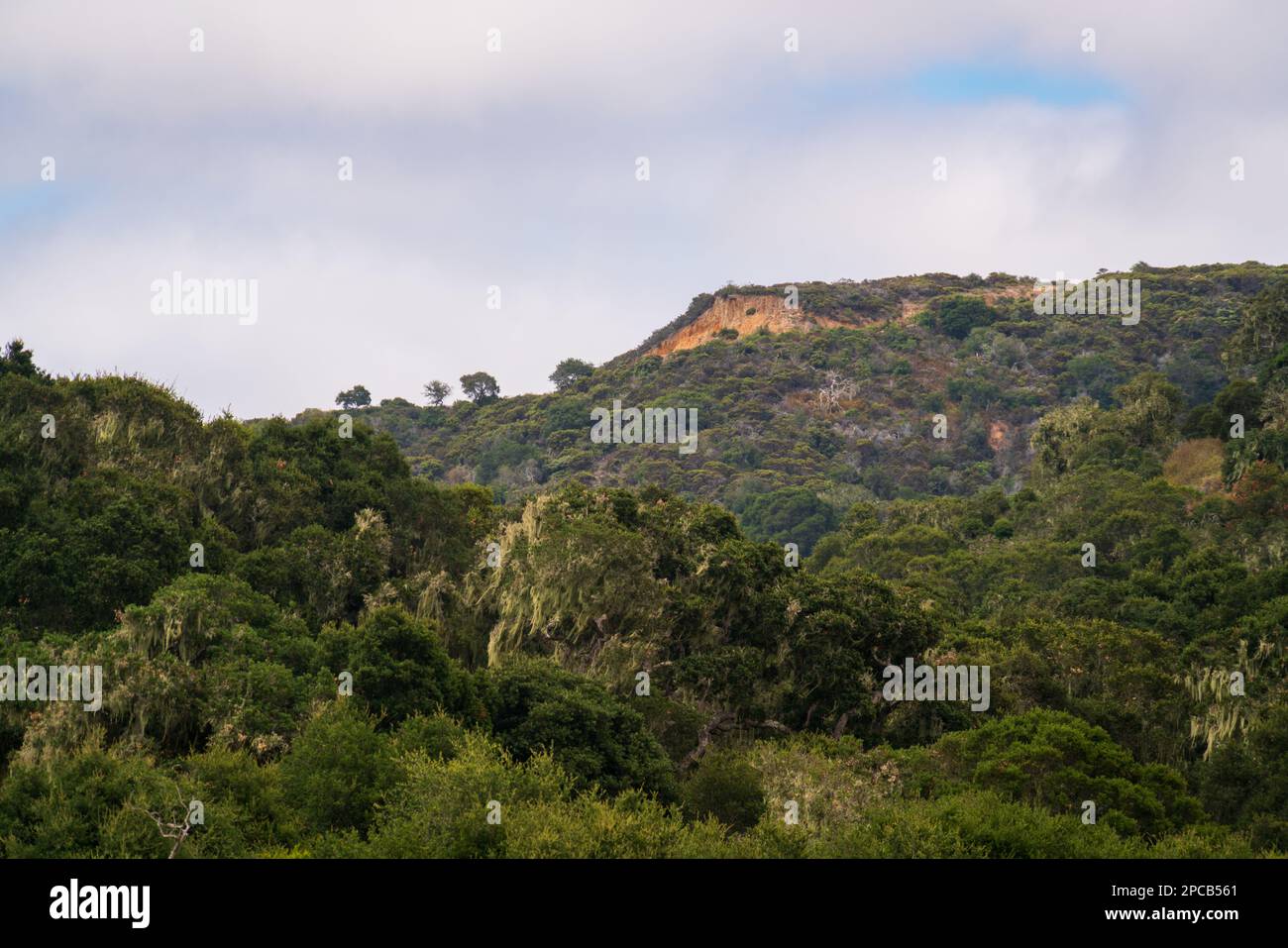 Fort Ord National Monument, California Stock Photo - Alamy