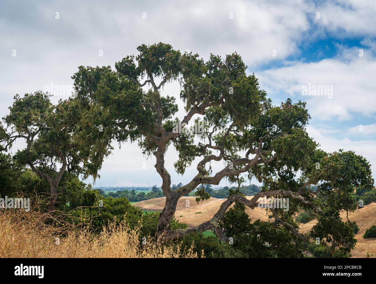 Fort Ord National Monument, California Stock Photo - Alamy