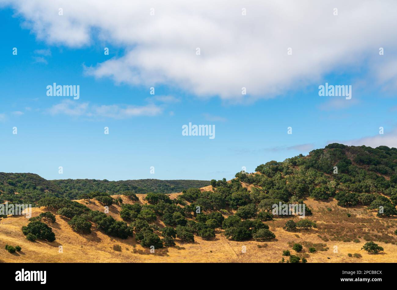Fort Ord National Monument, California Stock Photo - Alamy