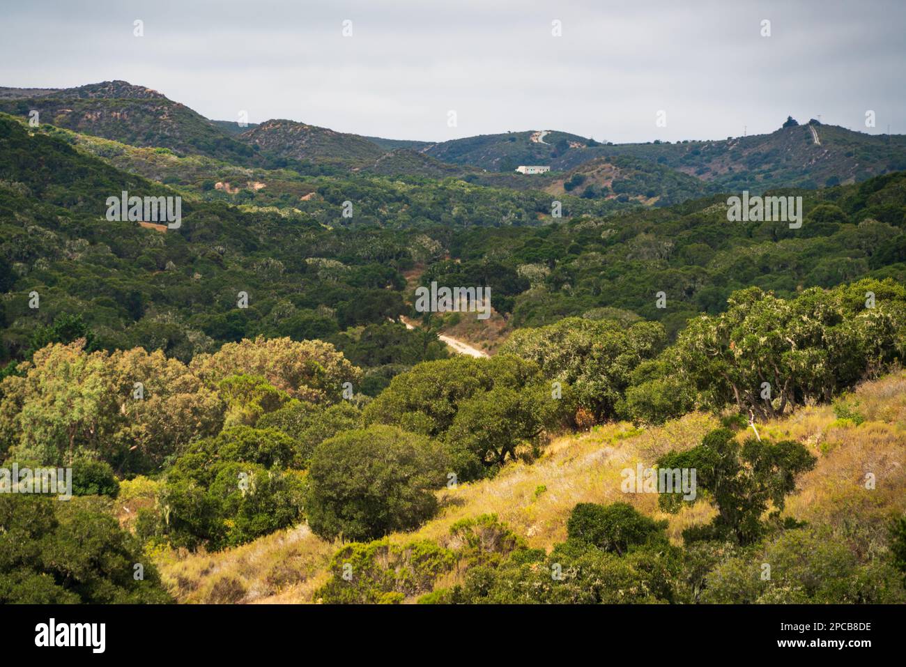 Fort ord monterey county california hi-res stock photography and images ...