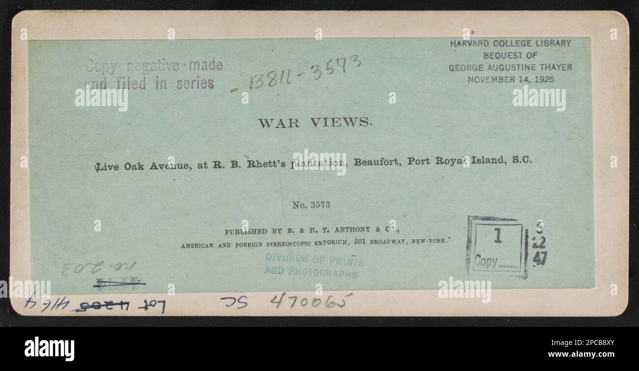 Live Oak Avenue, at R. B. Rhett's plantation, Beaufort, Port Royal ...