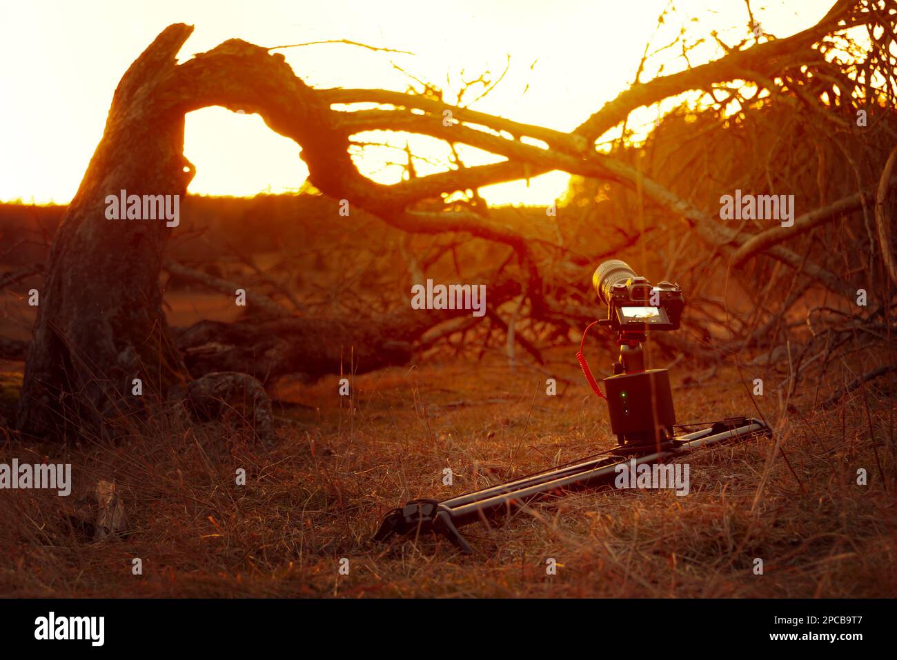 Camera mounted on motorized slider system standing on the ground at ...