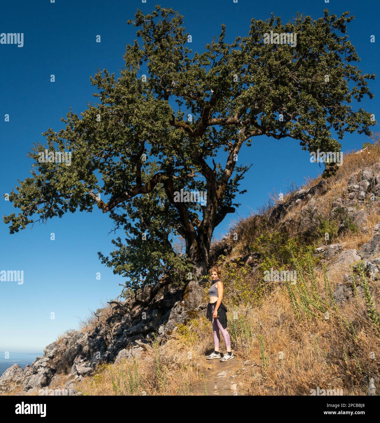 Fremont Peak State Park in California Stock Photo - Alamy