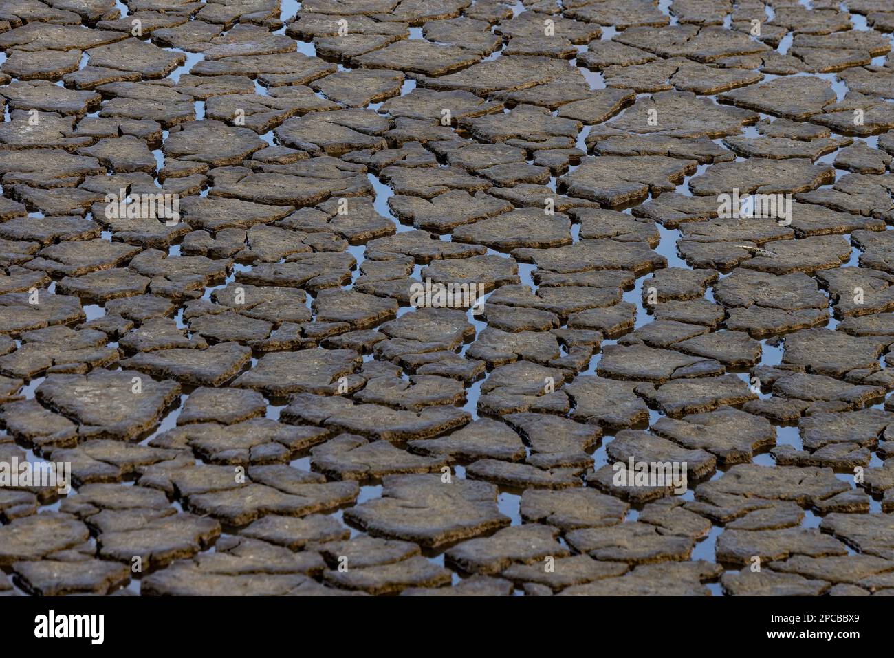 Baked mud flats Stock Photo - Alamy