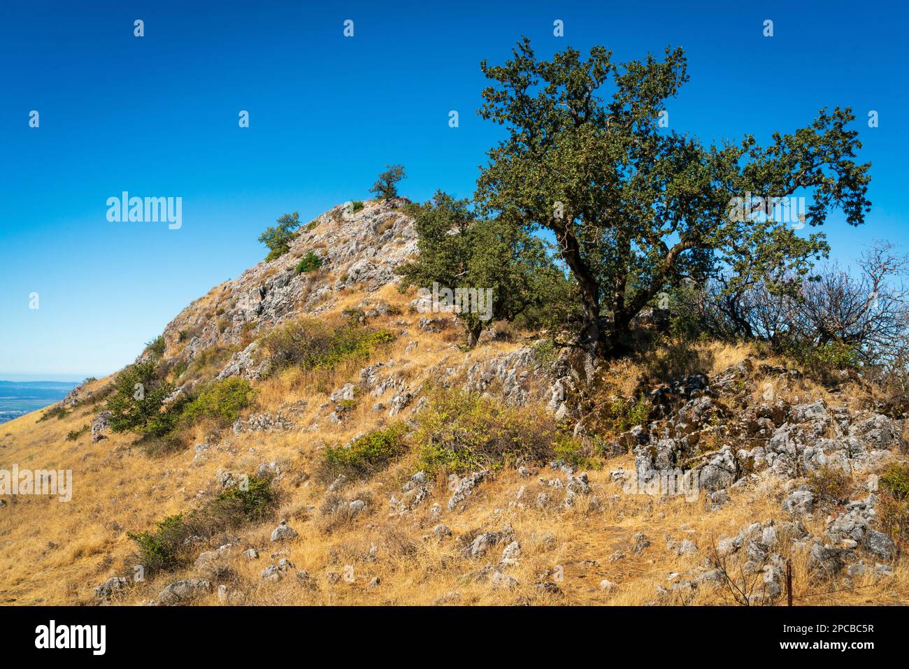 Fremont Peak State Park in California Stock Photo - Alamy