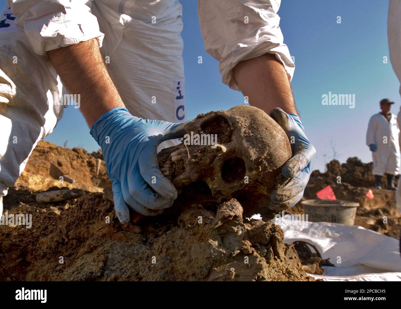 Forensics experts remove a human skull to a plastic bag with the rest ...