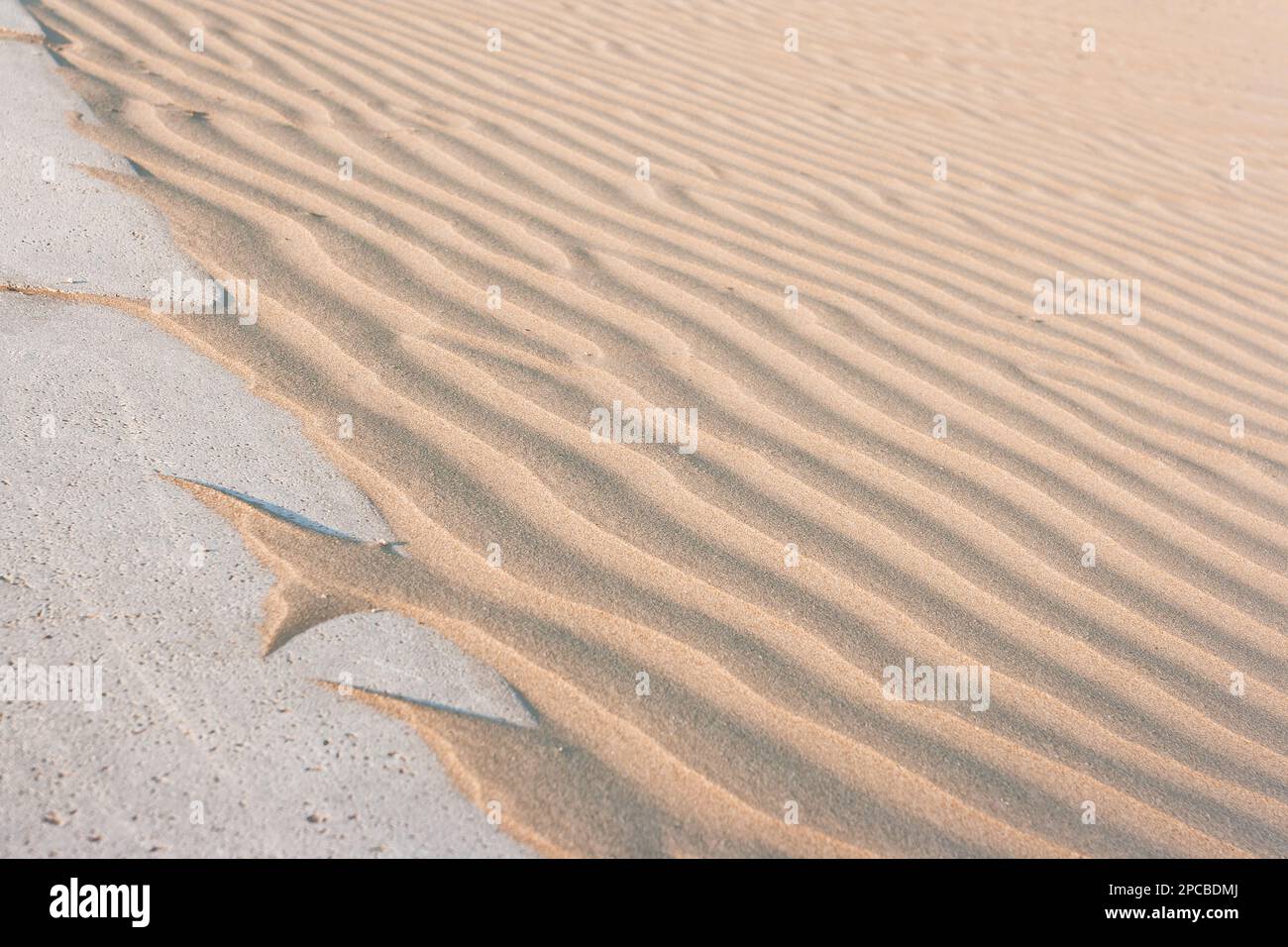 Sand texture beach with sunshine, wave pattern and stone tile. Full ...