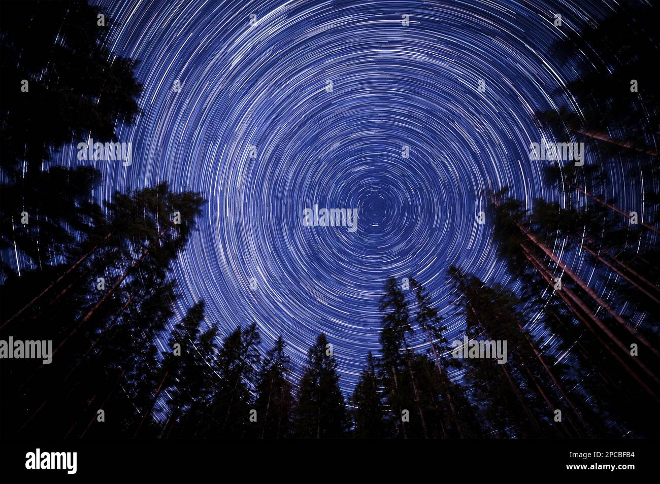 Long exposure star trails in the night sky against the background of ...