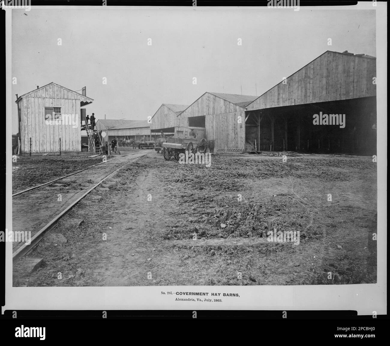 Alexandria national museum Black and White Stock Photos & Images - Alamy