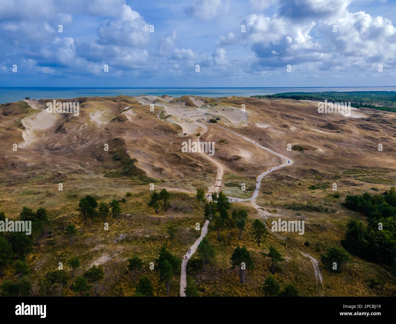 Aerial view of dead grey dunes in Curonian spit National park and ...