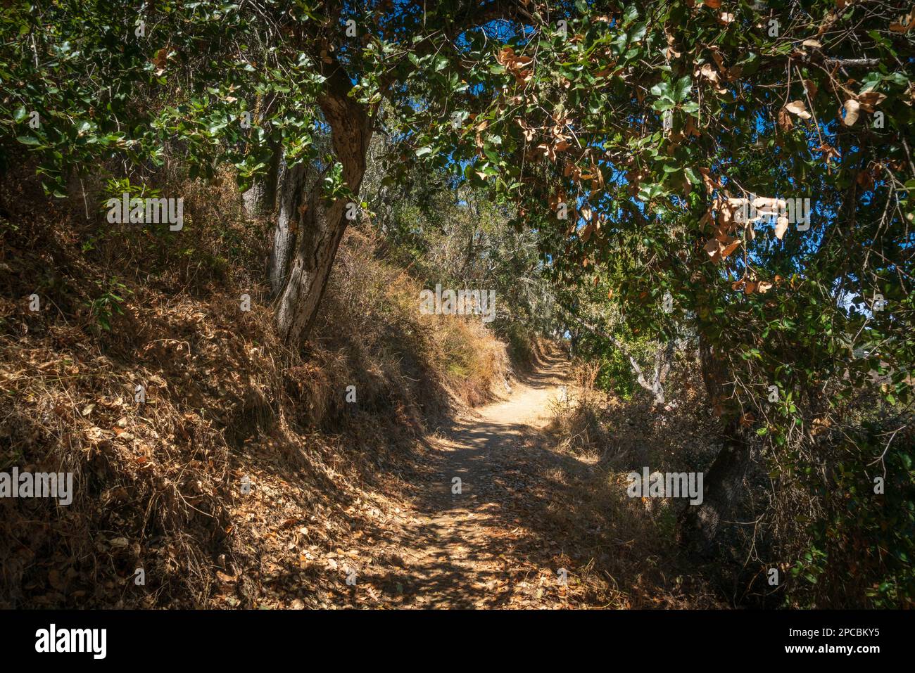 Garland Ranch Regional Park in Carmel, California Stock Photo - Alamy