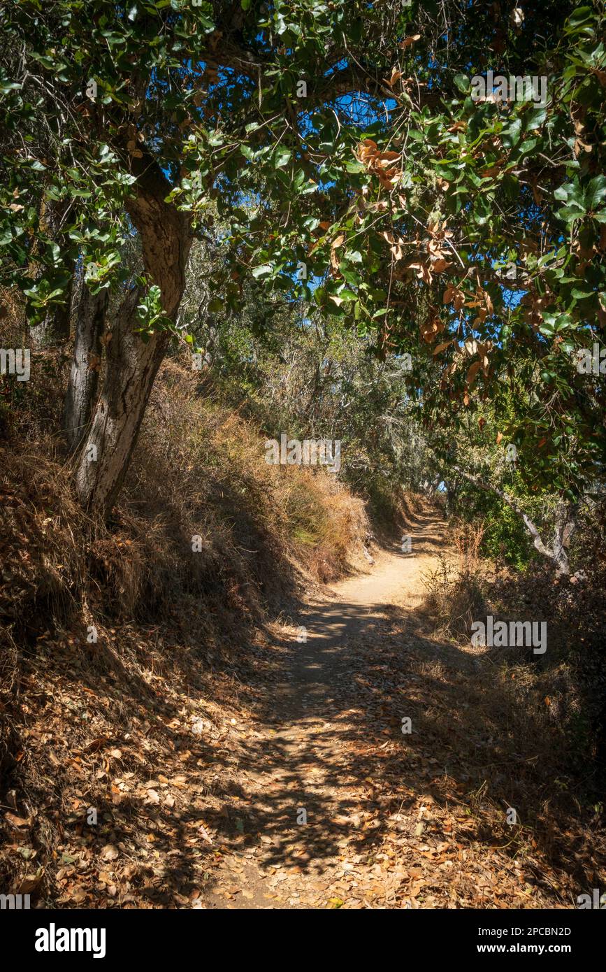Garland Ranch Regional Park in Carmel, California Stock Photo - Alamy