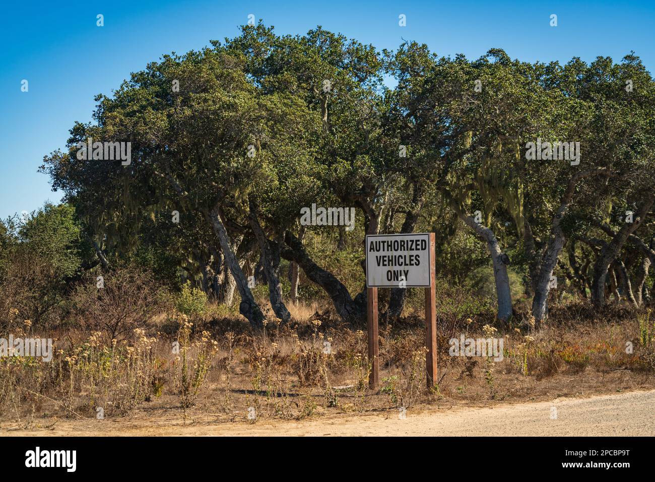 Fort Ord National Monument, California Stock Photo - Alamy