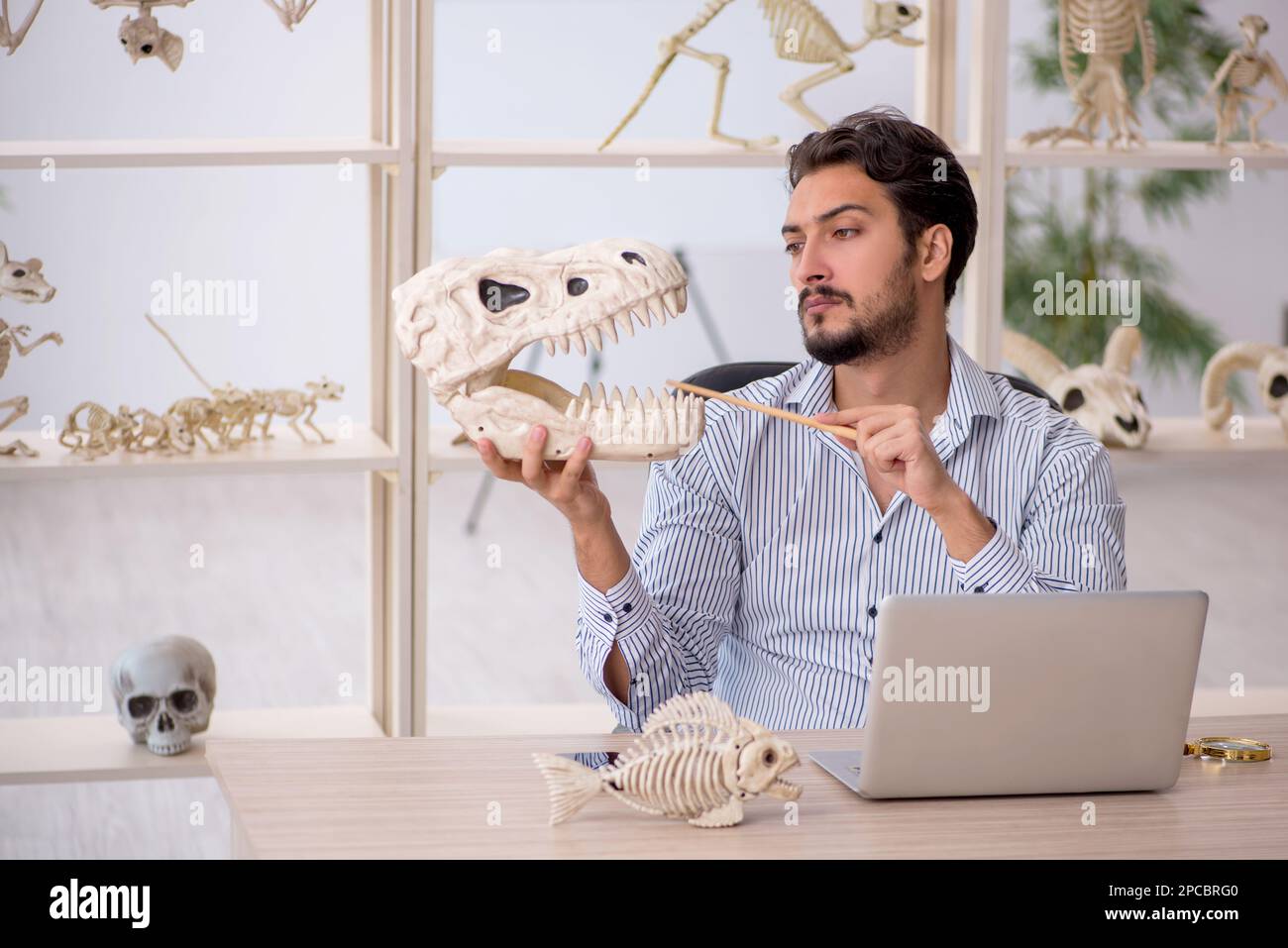Young paleontologist examining ancient animals at lab Stock Photo - Alamy