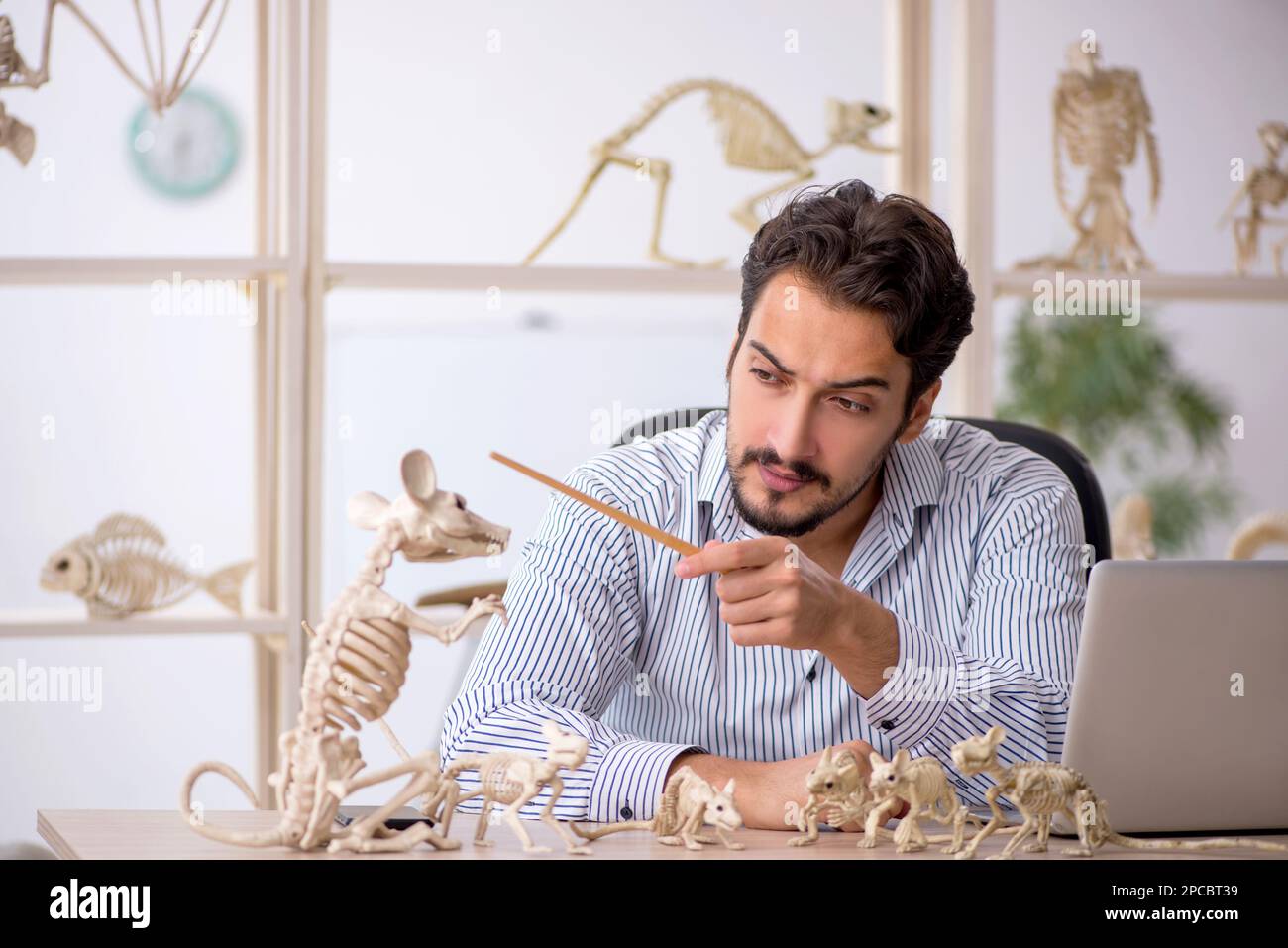 Young paleontologist examining ancient animals at lab Stock Photo - Alamy