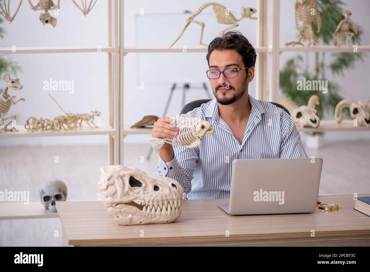 Young paleontologist examining ancient animals at lab Stock Photo - Alamy