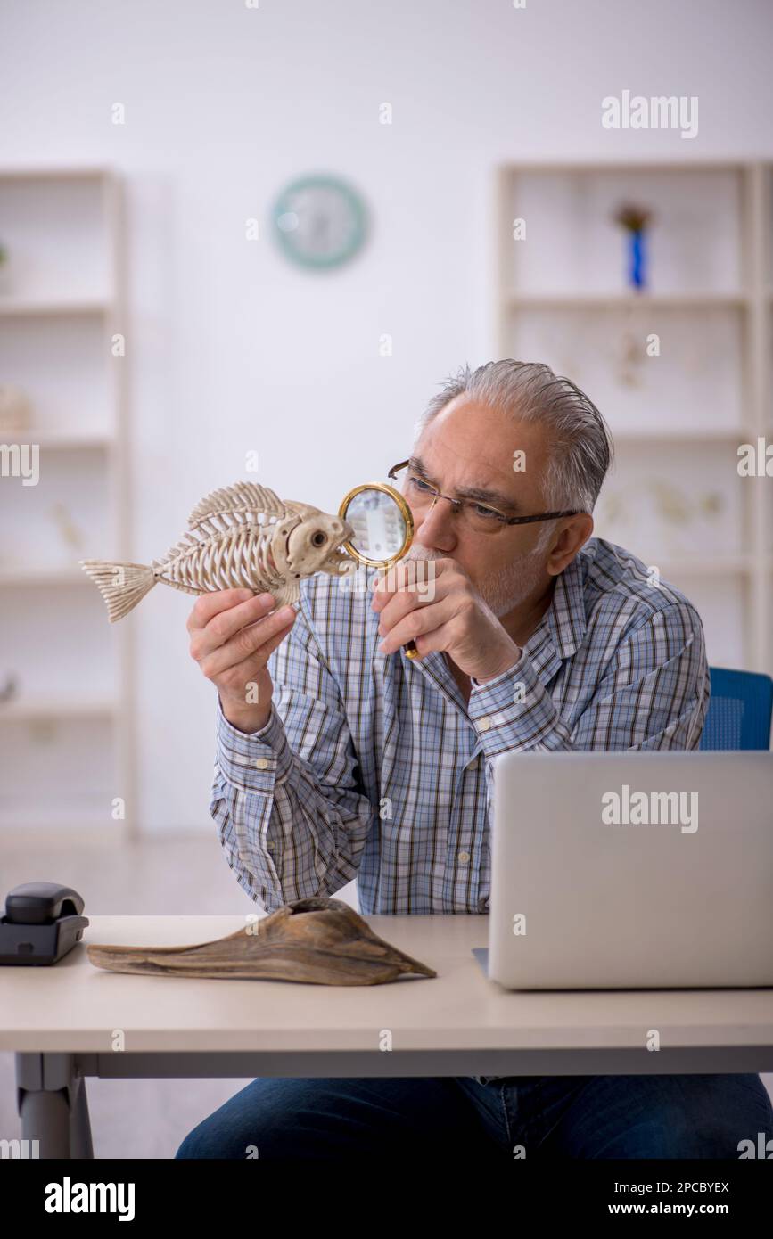 Old paleontologist examining ancient animals at lab Stock Photo - Alamy