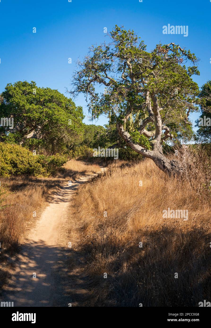 Fort Ord National Monument, California Stock Photo - Alamy