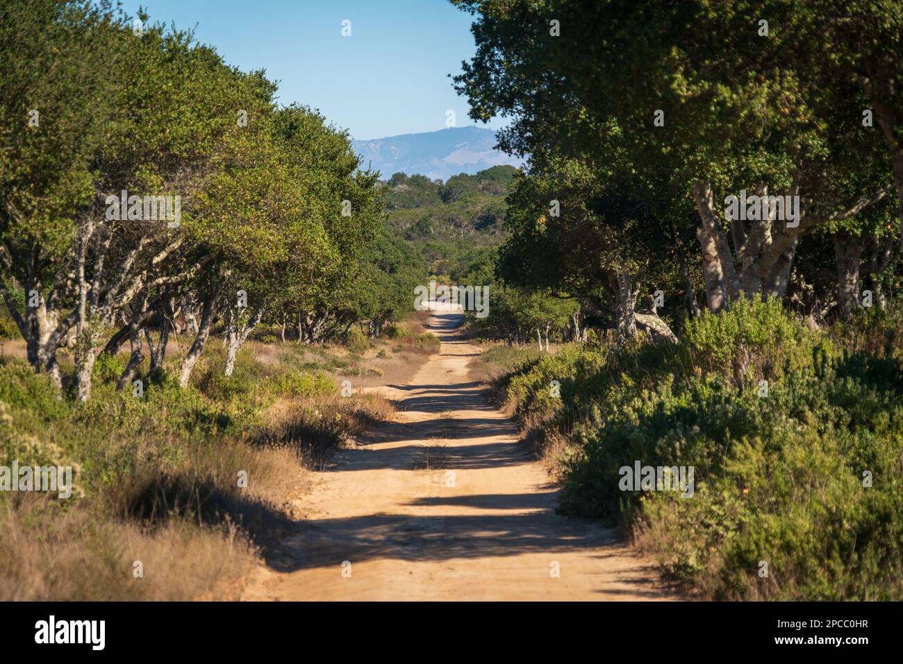 Fort Ord National Monument, California Stock Photo - Alamy