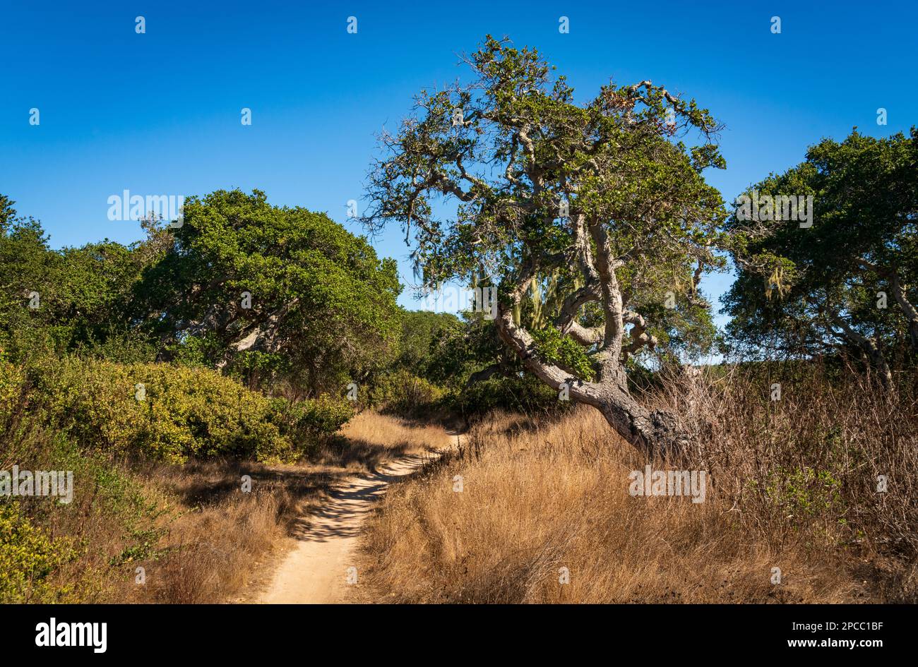 Ord building hi-res stock photography and images - Alamy