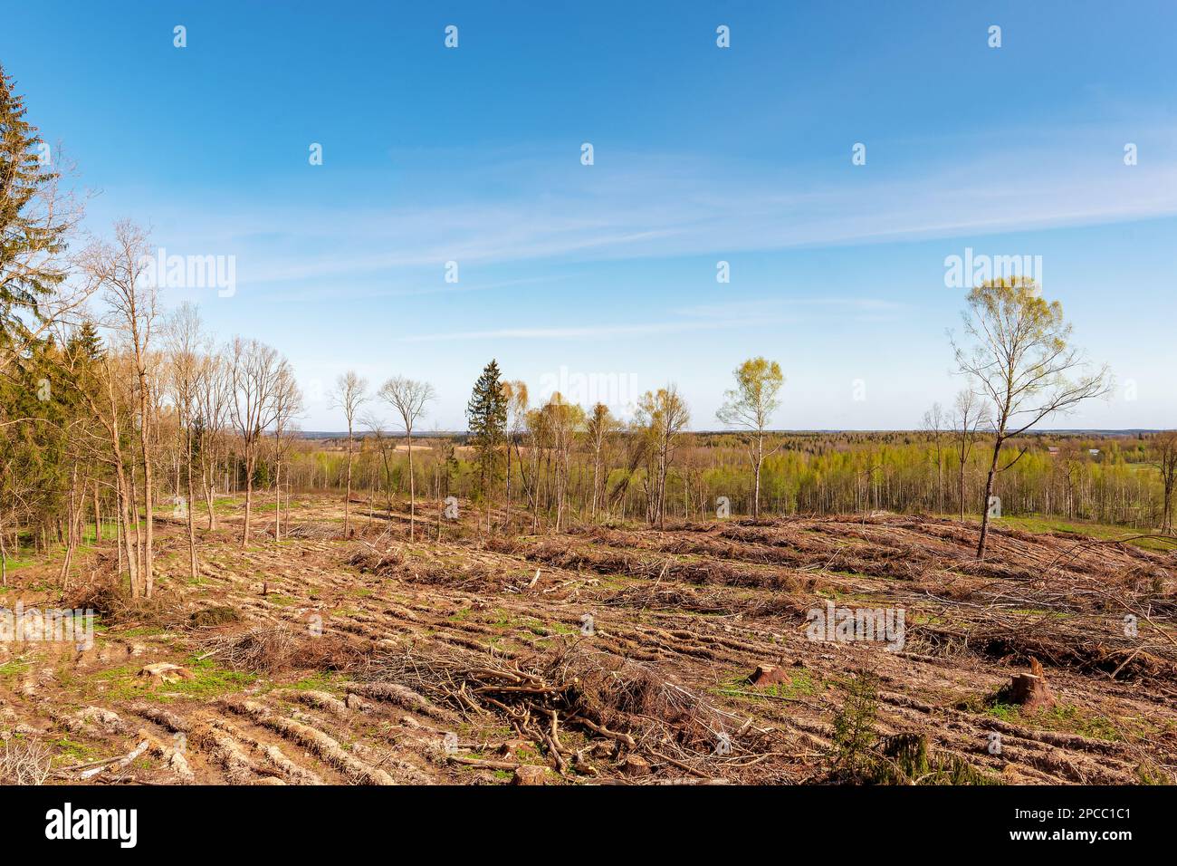 Logging heritage hi-res stock photography and images - Alamy