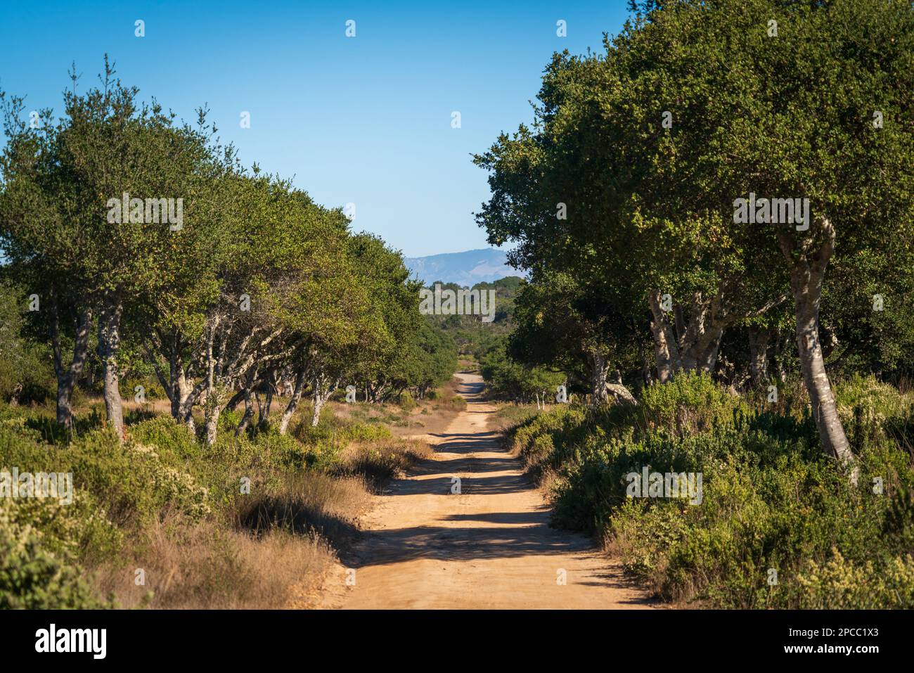 Fort Ord National Monument, California Stock Photo - Alamy