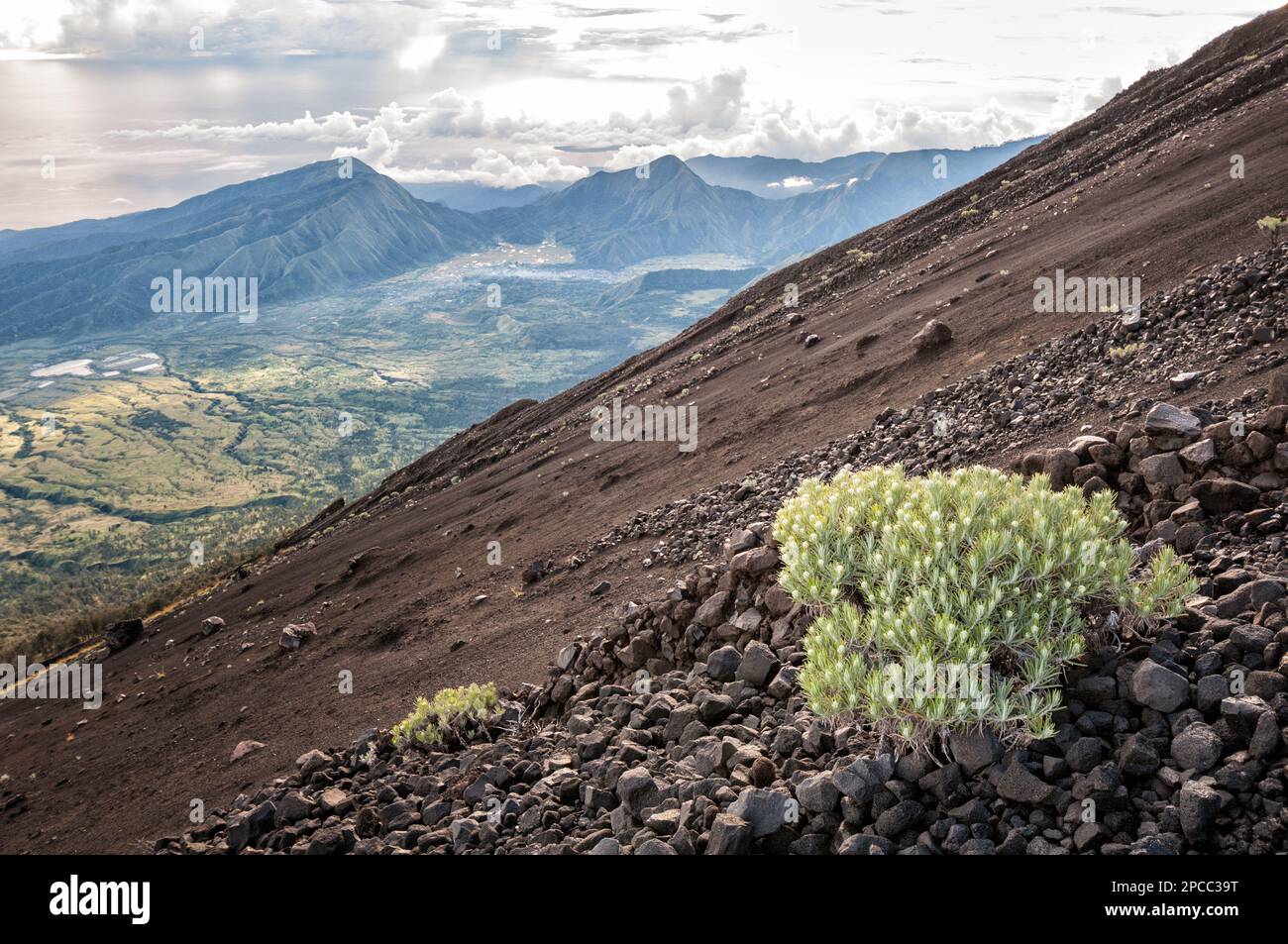 Slope of the Rinjani volcano during the descent, Lombok, Indonesia ...