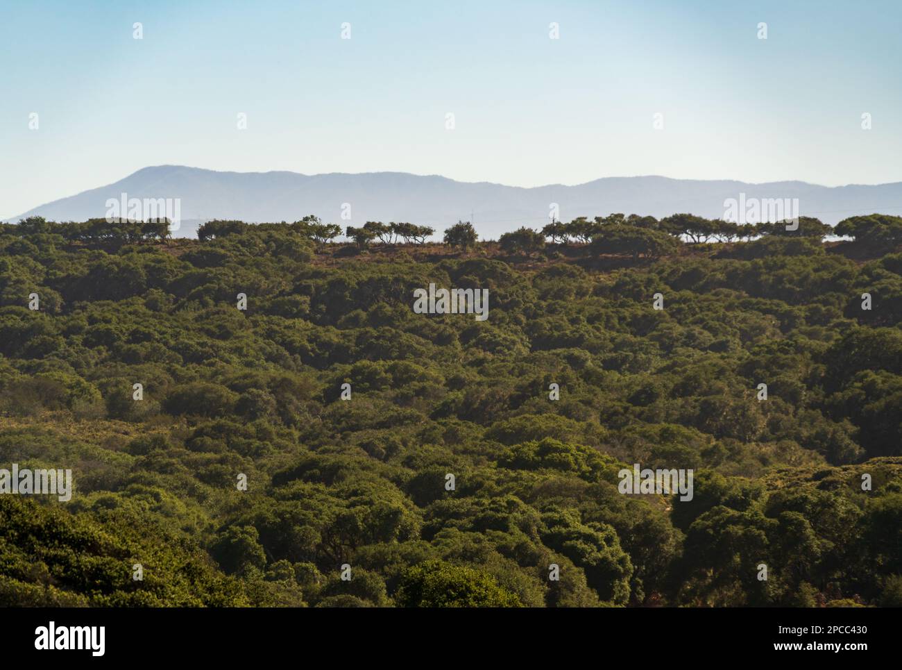 Fort Ord National Monument, California Stock Photo - Alamy