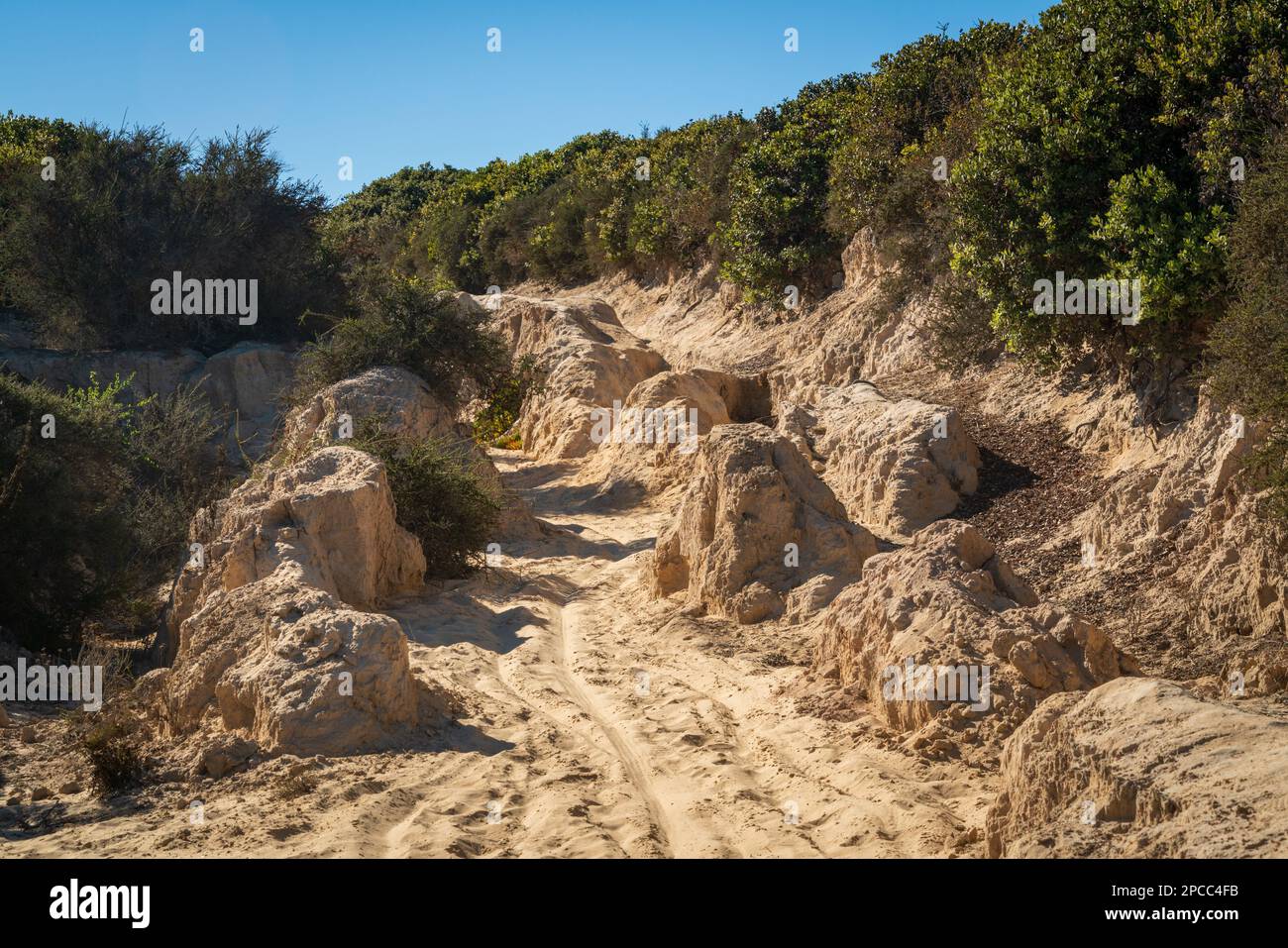 Fort Ord National Monument, California Stock Photo - Alamy