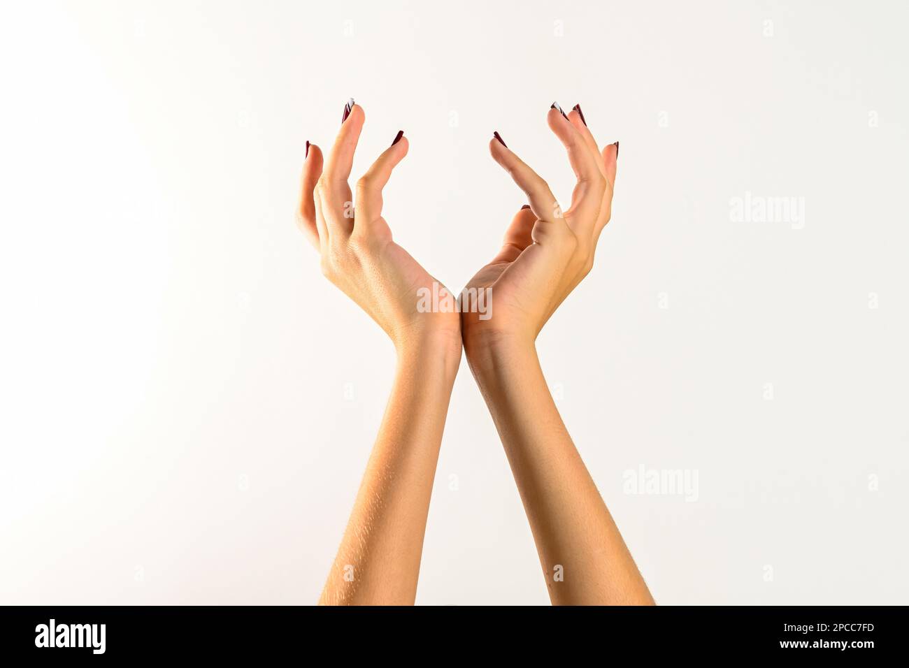 hands of a young woman making shapes, white background Stock Photo - Alamy