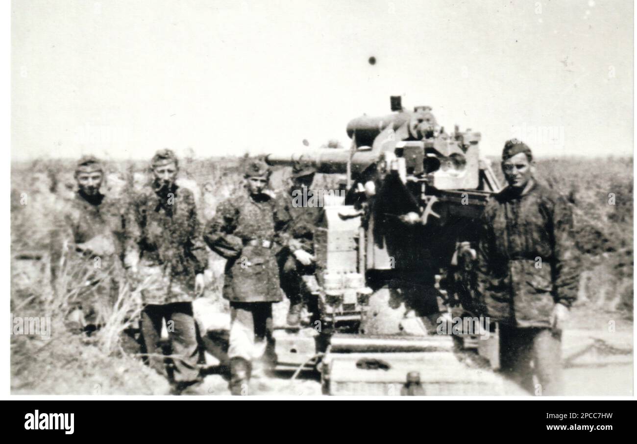 World War Two B&W photo Waffen SS Soldiers in Camo Smocks train on a ...