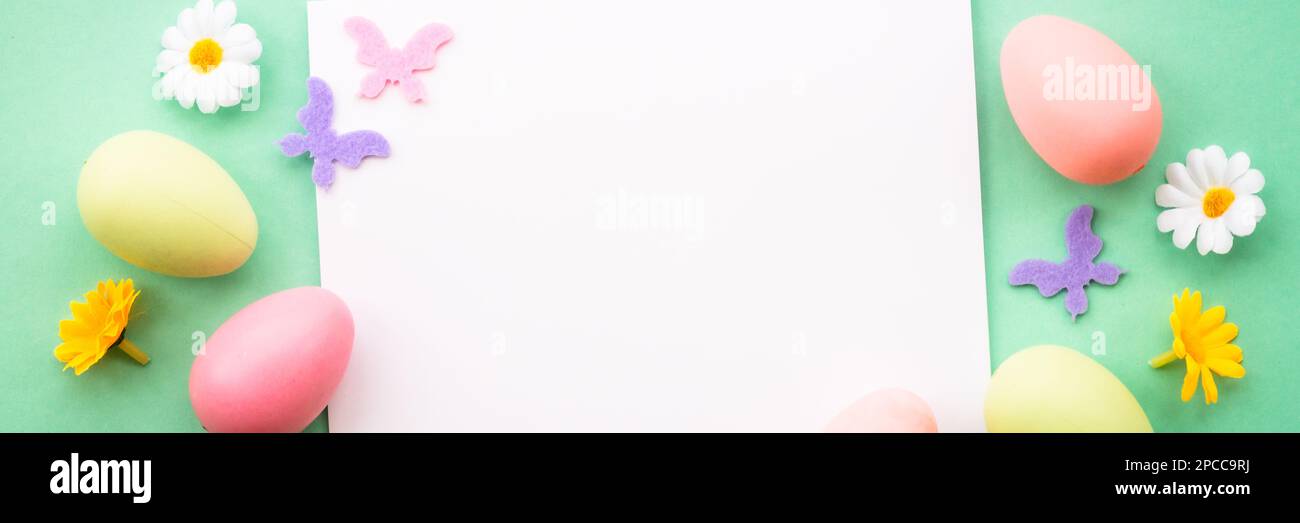 Easter background with Eggs, rabbit and spring flowers at green ...