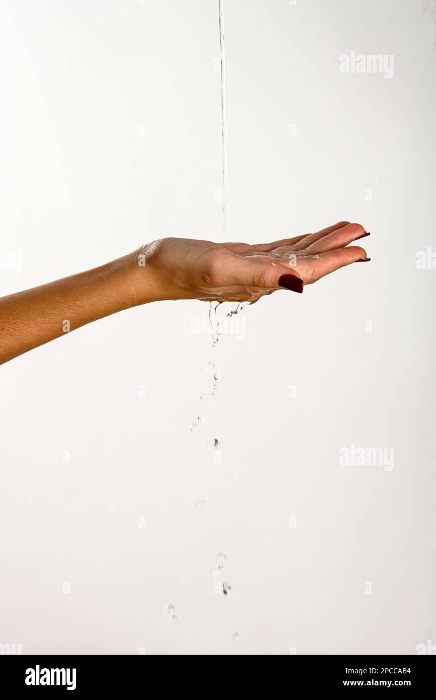 hands of a young woman dripping clear water, white background Stock ...