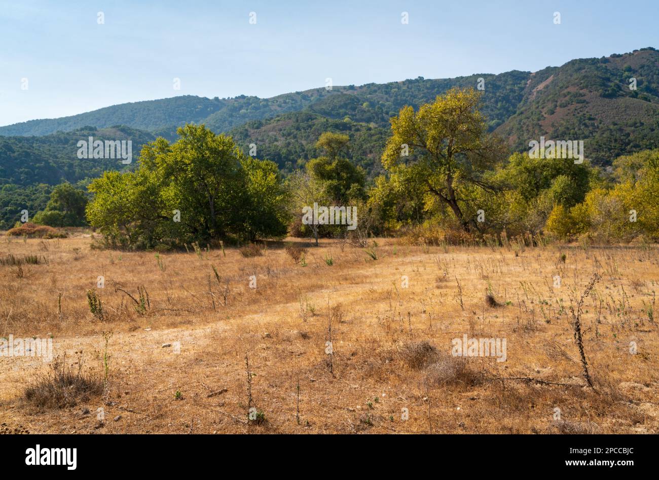 Garland Ranch Regional Park in Carmel, California Stock Photo - Alamy