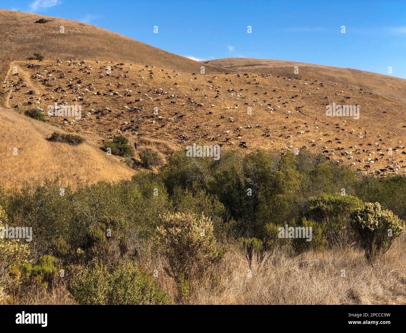 Fort ord national monument hi-res stock photography and images - Alamy