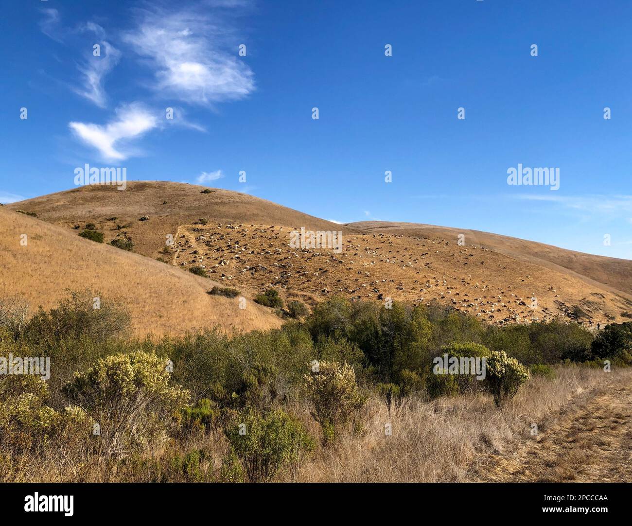 Fort Ord National Monument, California Stock Photo - Alamy