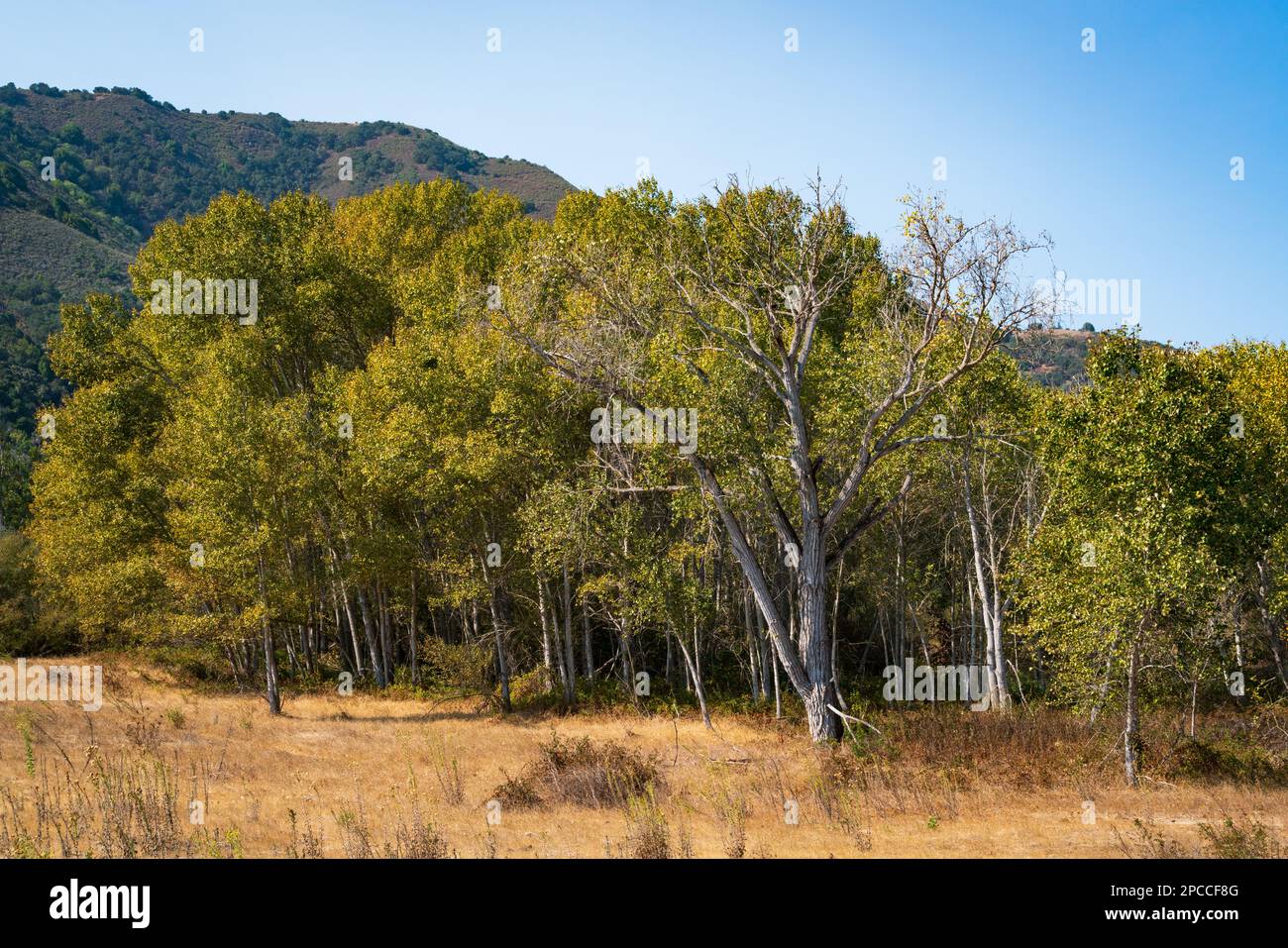 Garland Ranch Regional Park in Carmel, California Stock Photo - Alamy