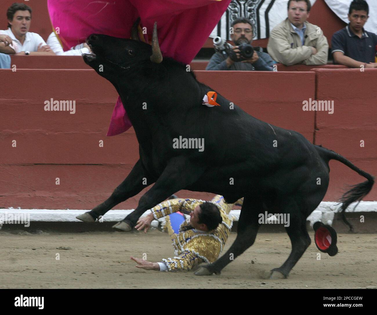 A bull jumps over Colombian bullfighter Cesar Rincon after he was ...