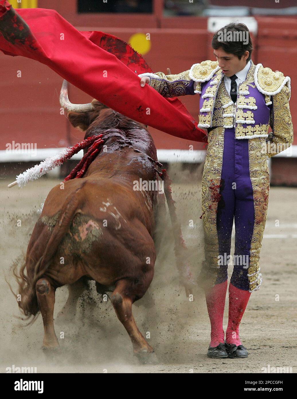 A bull passes by French bullfighter Sebastian Castella during the ...